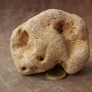Natural Limestone With Holes; Decorative Sea Rock Stone; Big Hag Stone ...