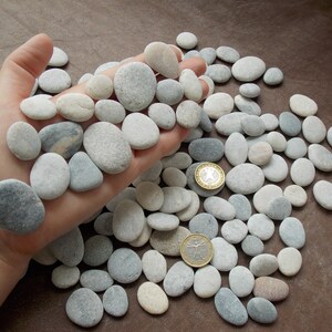 2lbs-145 Smooth Flat Beach Stones for Pebble Art, Painting & Crafts ...