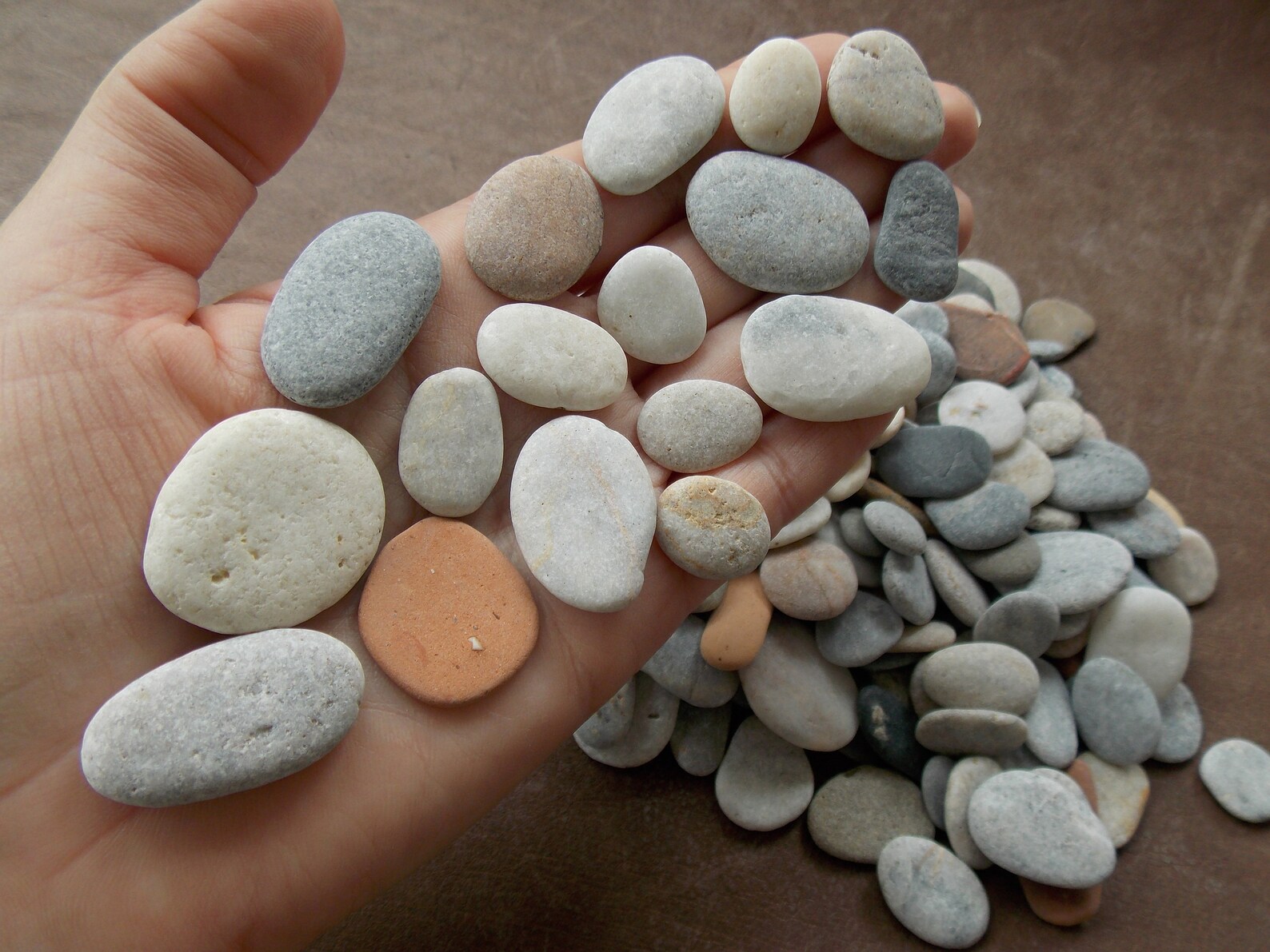 250 Assorted Flat Sea Stones for Pebble Art; Small Craft Stones; Smooth ...