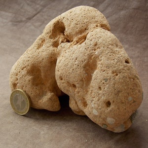 Natural limestone rock large fish stone with holes | Etsy