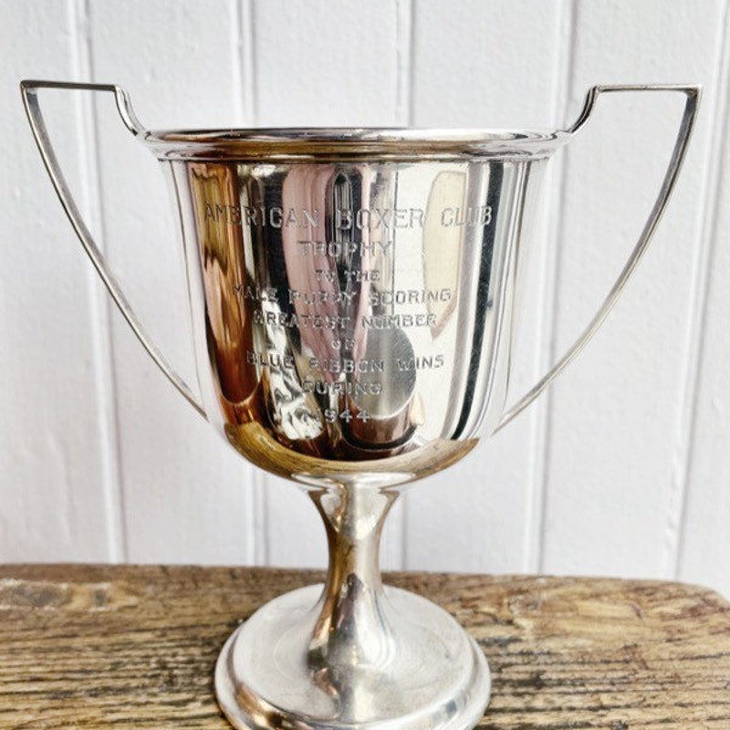 Animal Trophy - Etsy