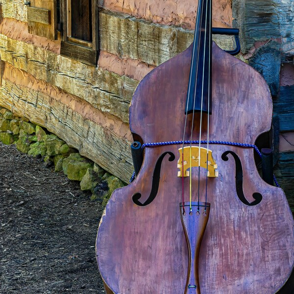 Double Bass - Etsy