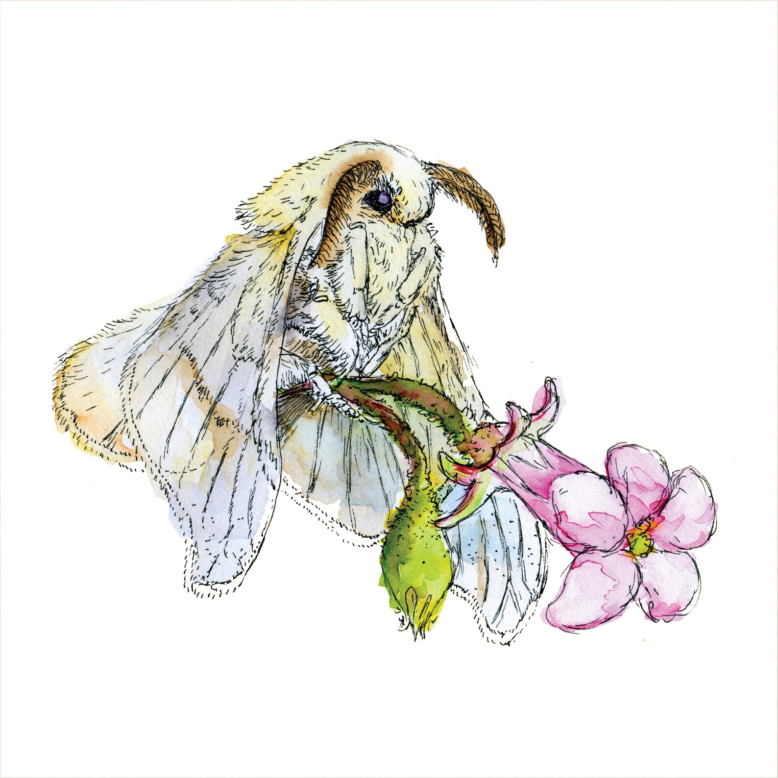 Moth Princess Art - Etsy