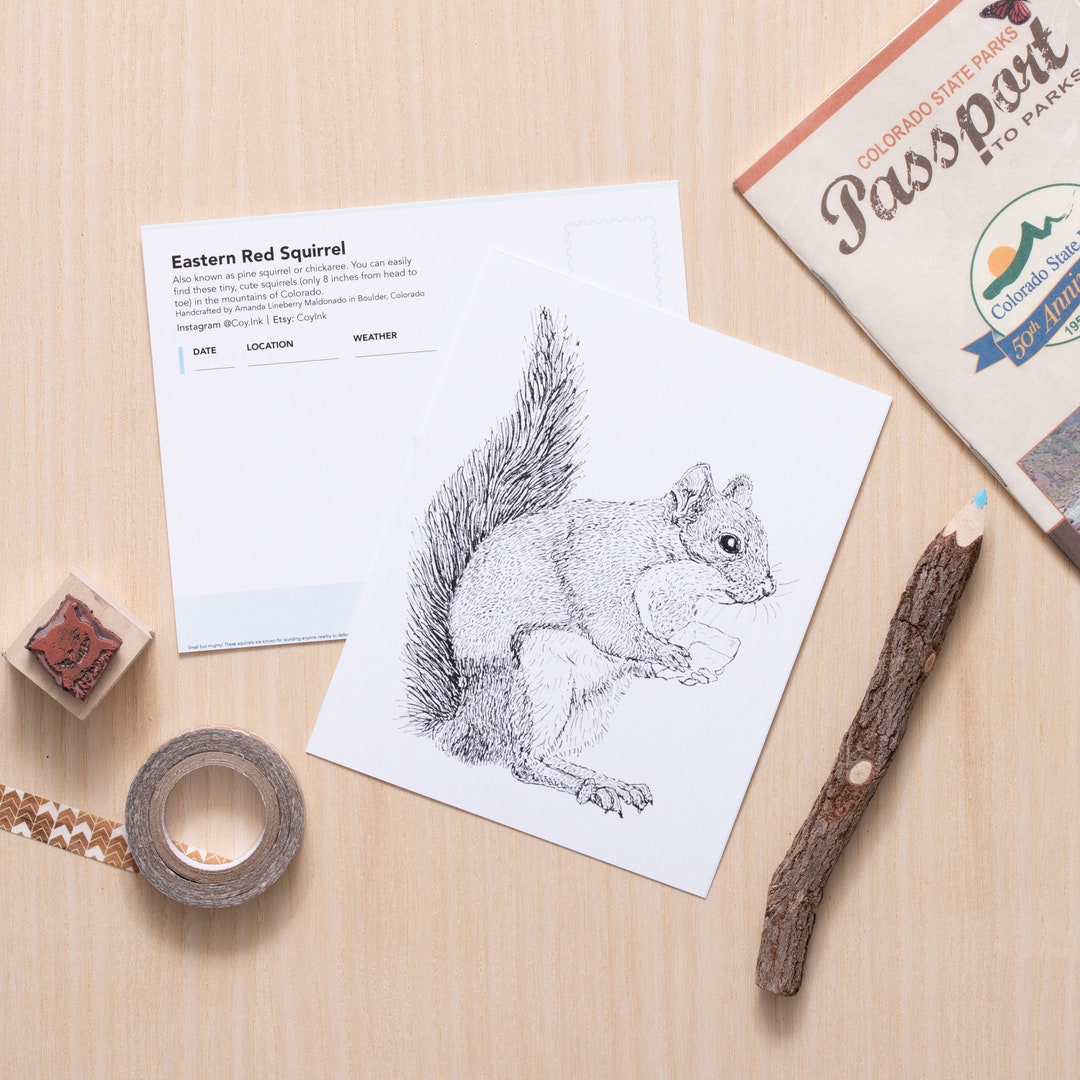 Chicory Squirrel Art - Etsy UK