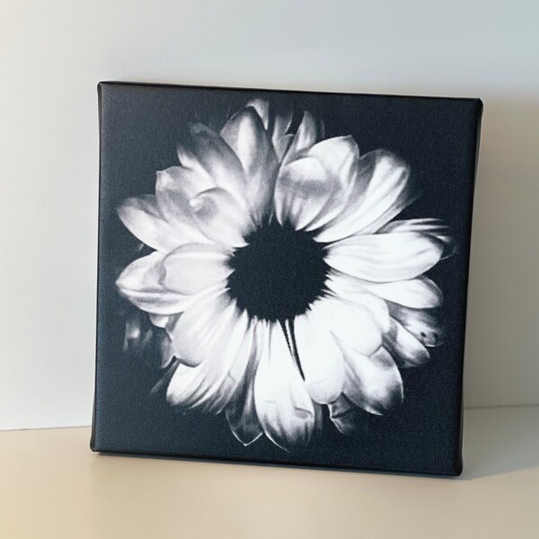 Black and White Daisy Print - Etsy