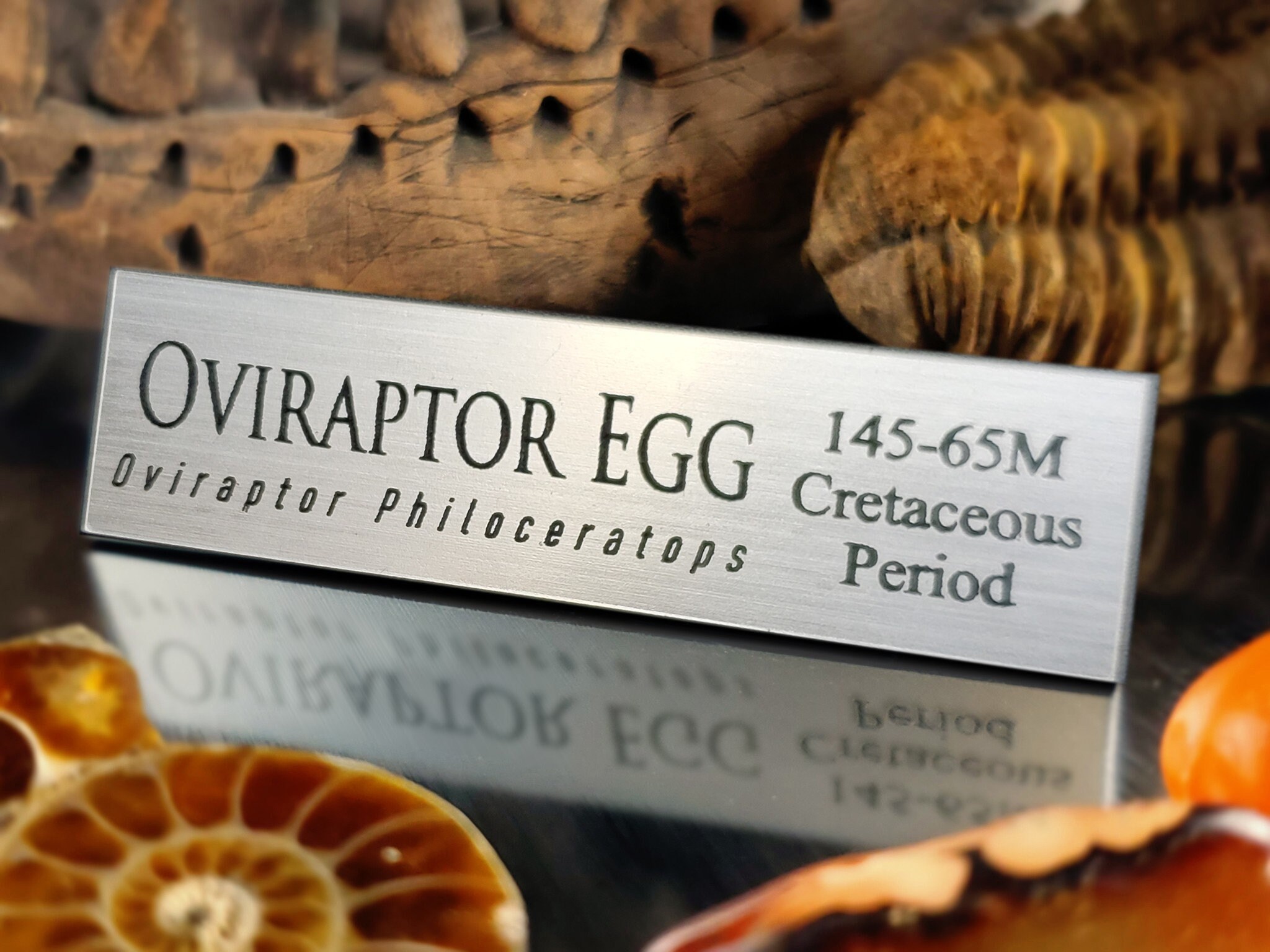 Oviraptor Fossil Display Name Plate Exhibit Artifact Label - Etsy