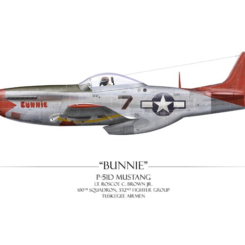 Pinup Aviation Poster With P-51 Mustang WW2 Fighter Plane - Etsy