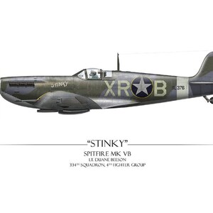 Stinky Duane Beeson Spitfire - Art Print by Craig Tinder - Etsy