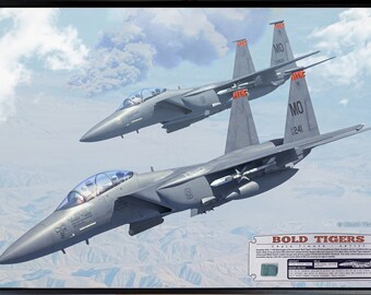 F-15 Strike Eagle Aircraft Nose Art Panel 391st Bold Tigers - Etsy