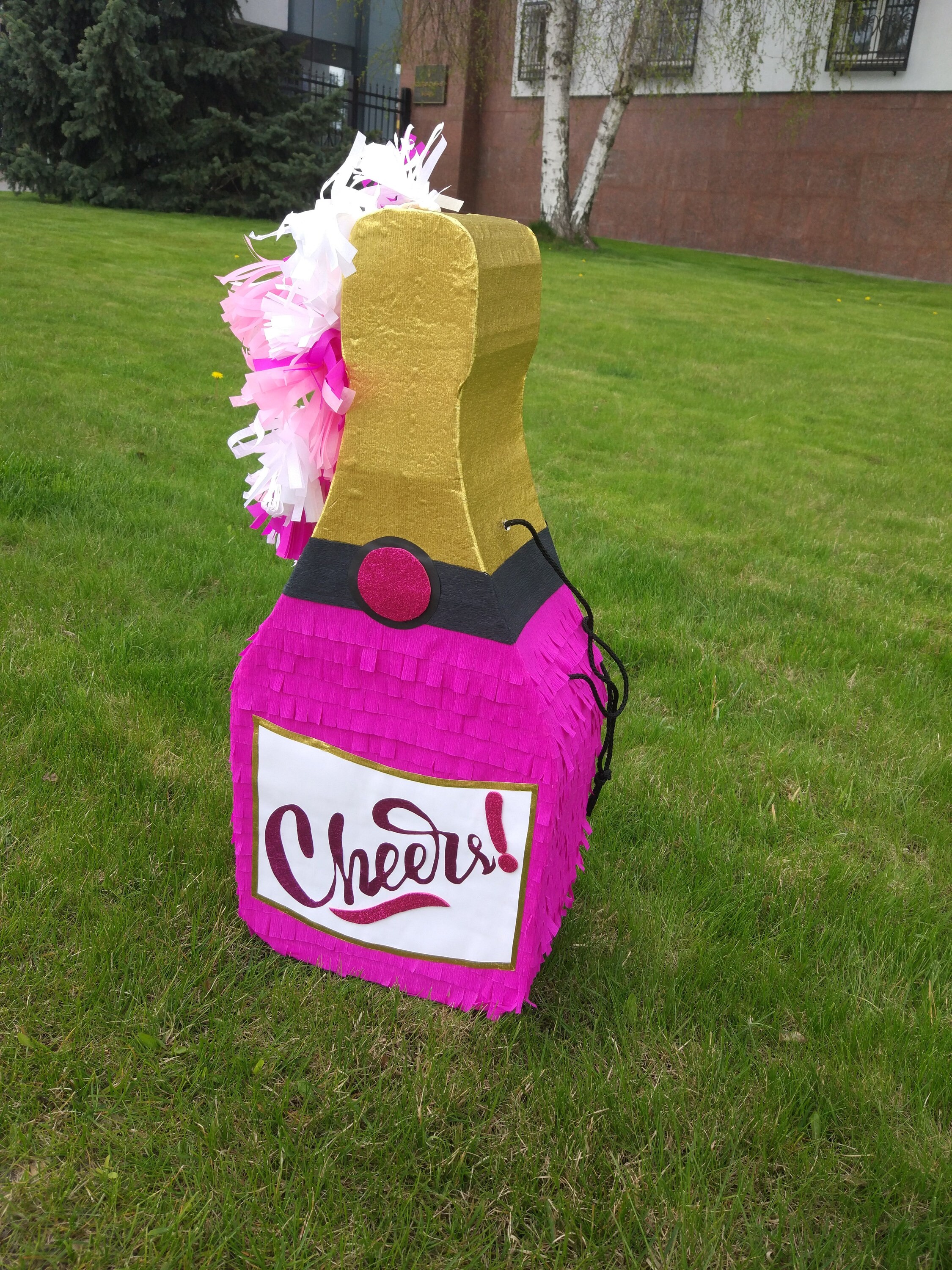 Champaigne pinata Bottle booz alcohol pinata Adult pinata | Etsy