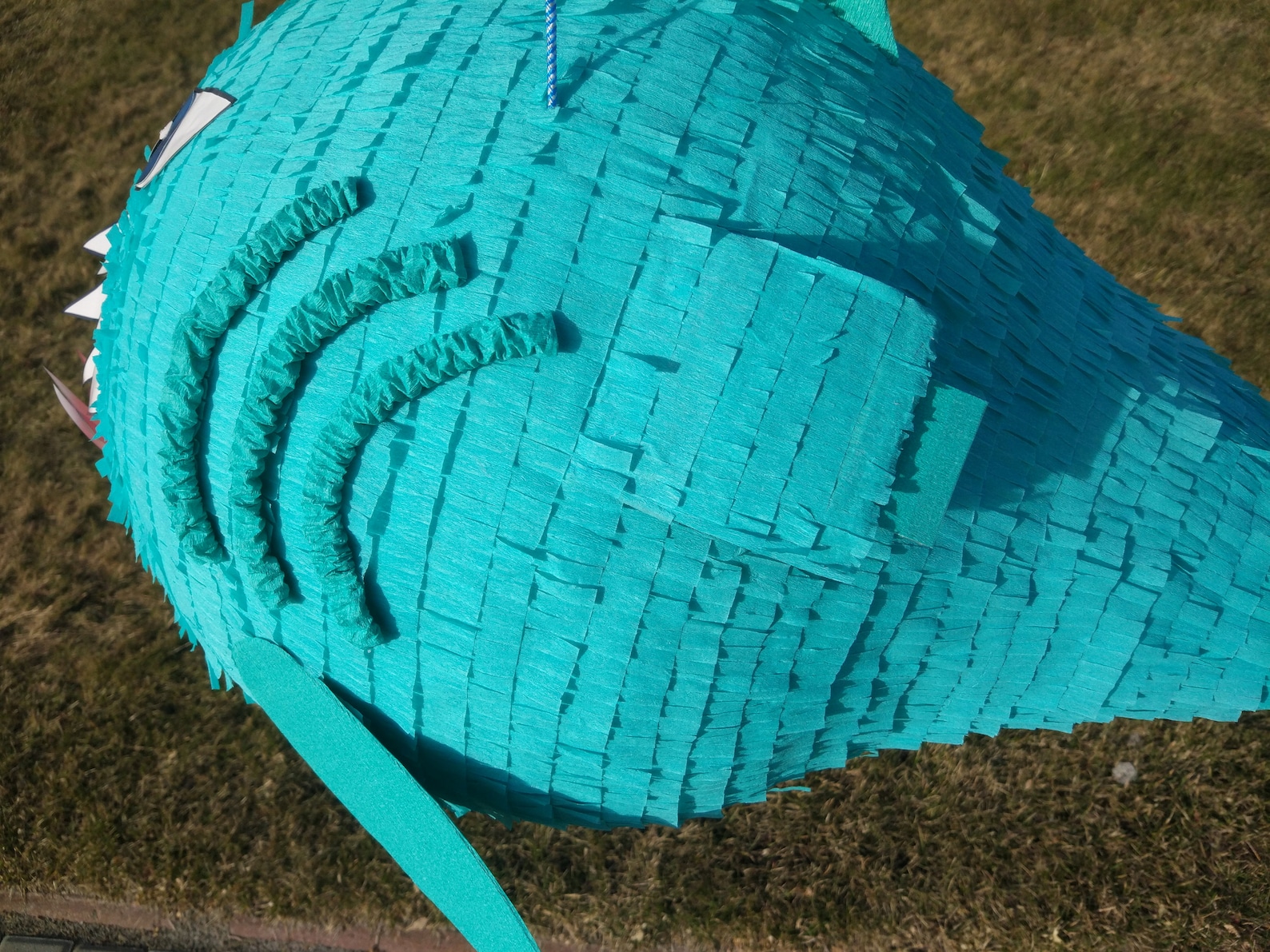 Goblin Shark Pinata for Boys Party, Pirate Party Decor, Personalized ...