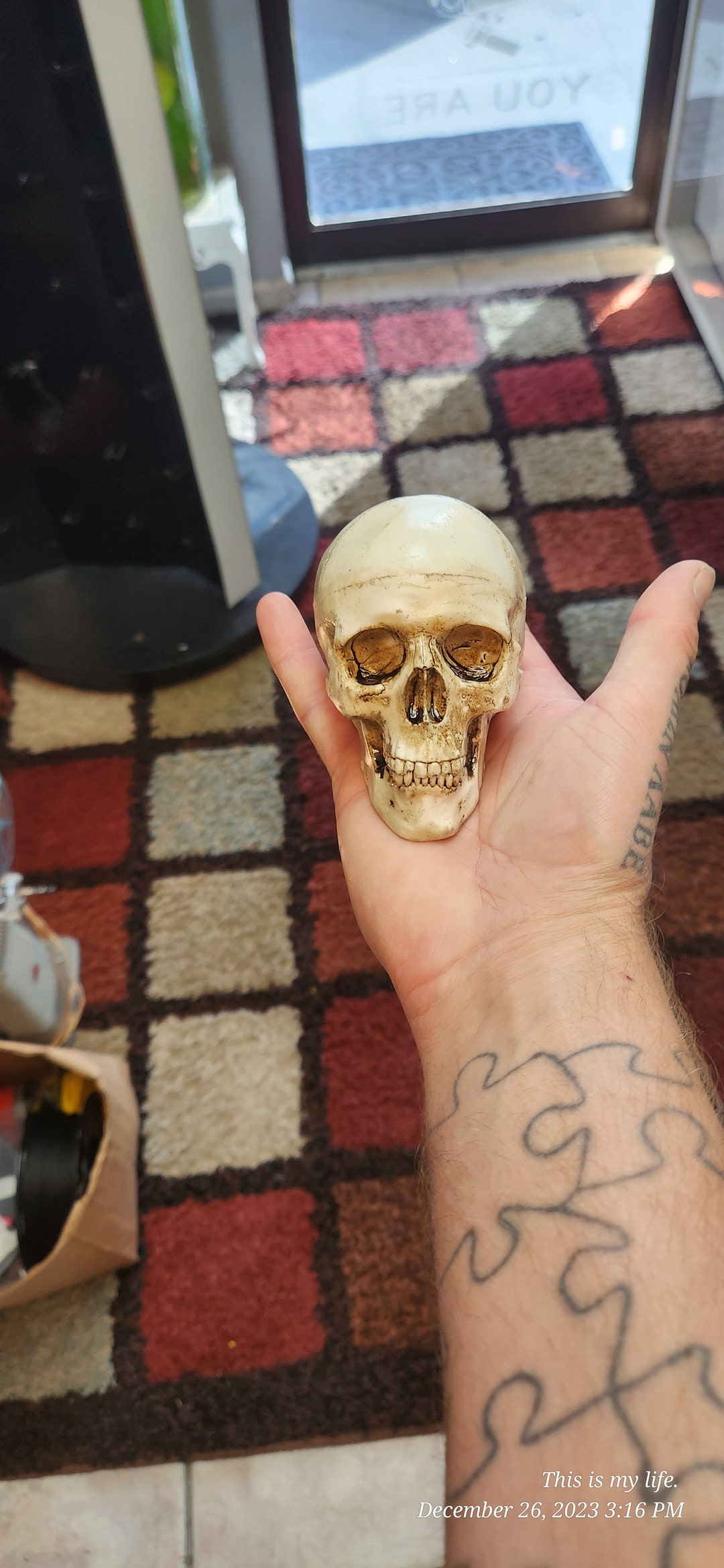 Skull With Bottom Jaw Shifter Knob. Looks Amazing Paint Any Color... - Etsy