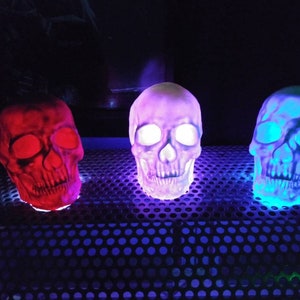 Light up Hand Made Plastic Skull Use Any Color Change Light ( Light Not ...