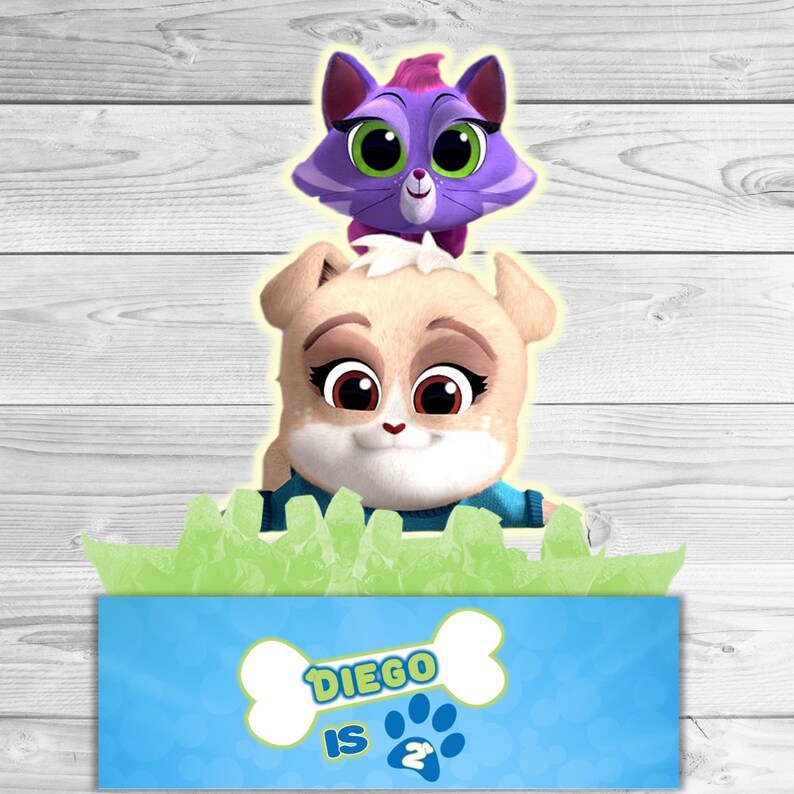Puppy Dog Pals Centerpiece choice of Characters - Etsy
