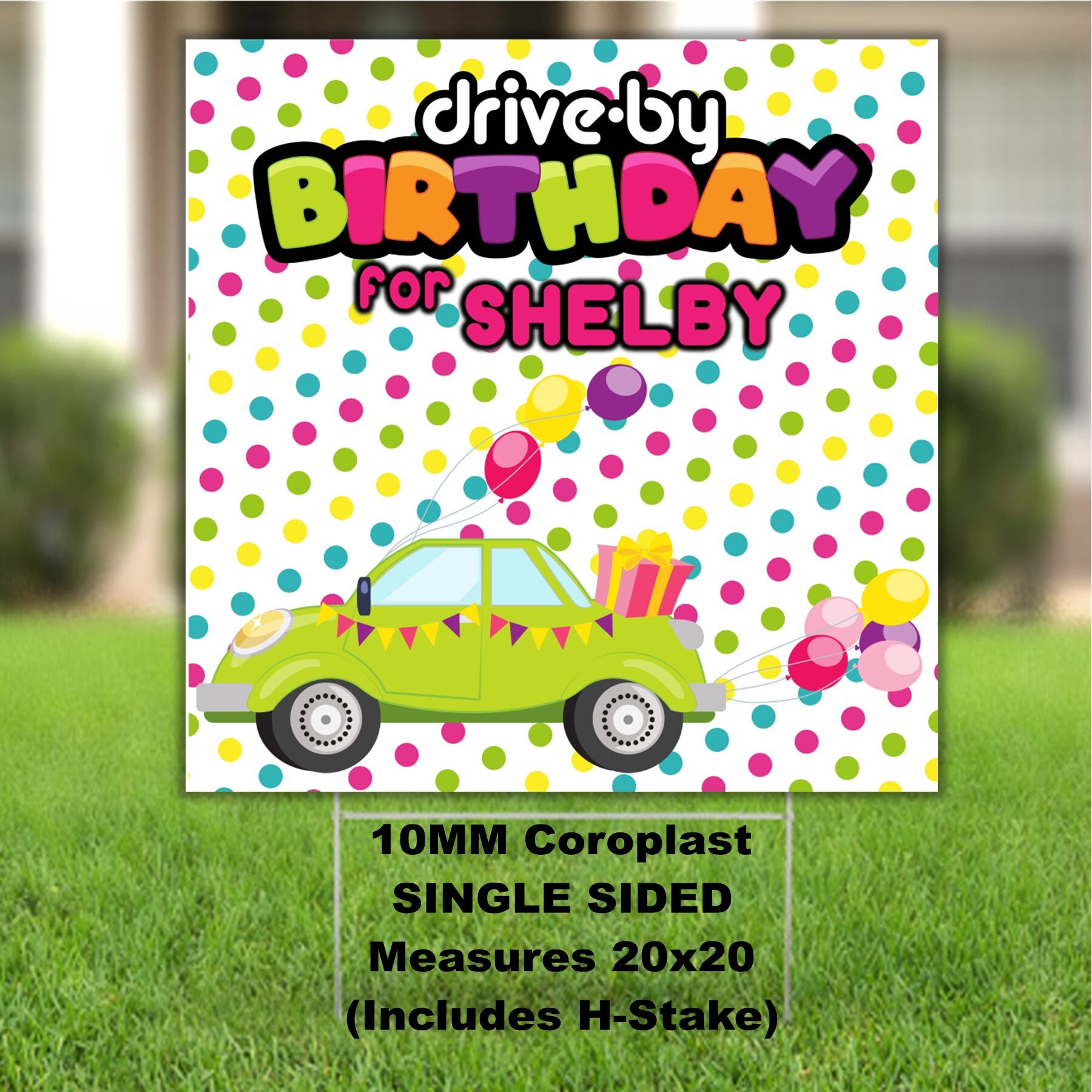 Drive by Birthday Girl Party Lawn Sign - Etsy