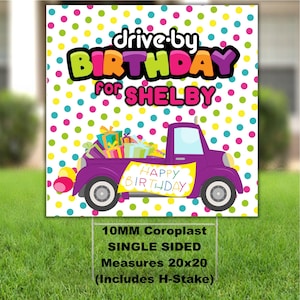 Drive by Birthday Girl Party Lawn Sign - Etsy