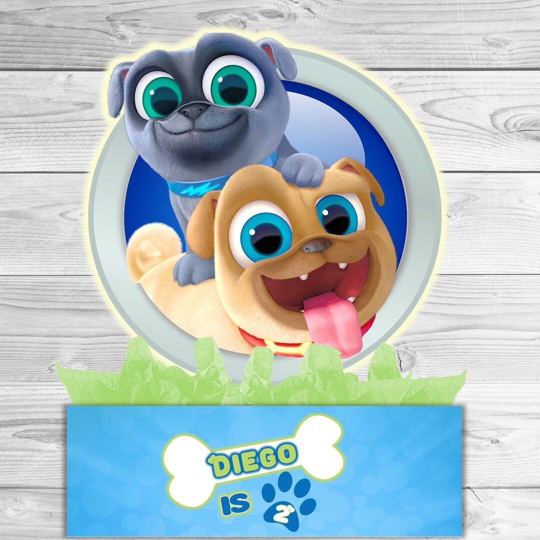 Puppy Dog Pals Centerpiece choice of Characters - Etsy