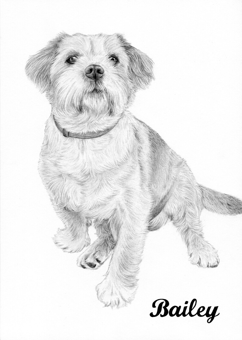 Custom Dog Portrait Pencil Drawing A4 Personalised - Etsy UK
