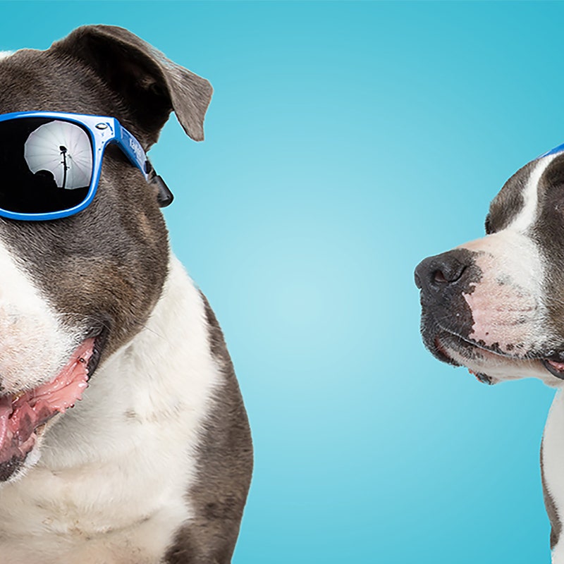 Sky Sunglasses - Etsy