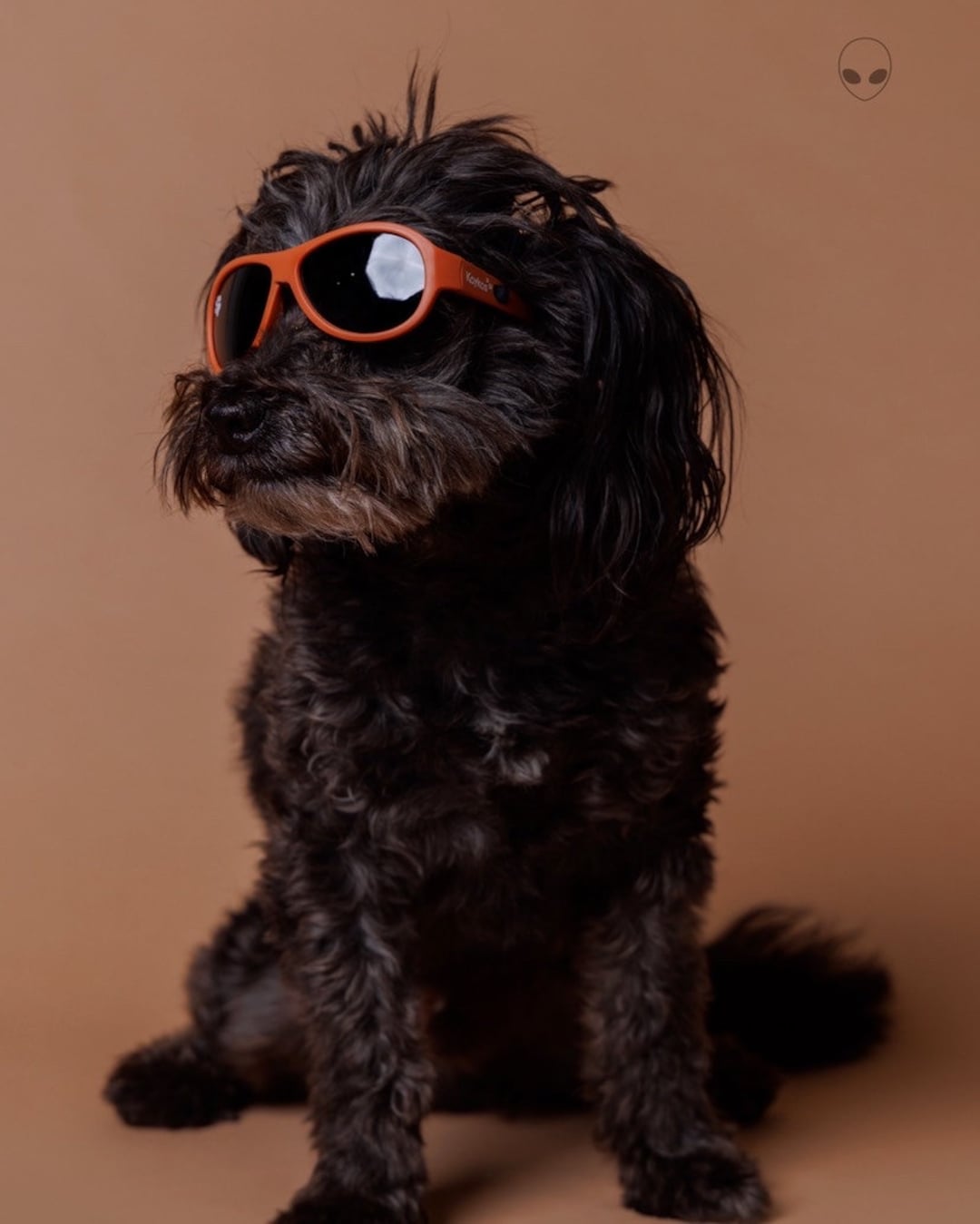Alienator Dog Sunglasses (small) - Etsy