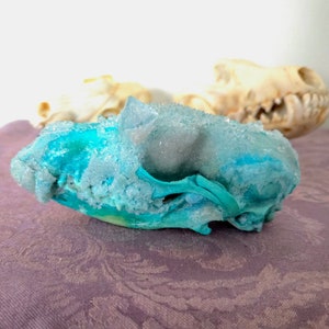 Crystallized Clear Crystal Fox Skull - Etsy