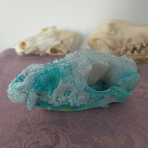 Crystallized Clear Crystal Fox Skull - Etsy