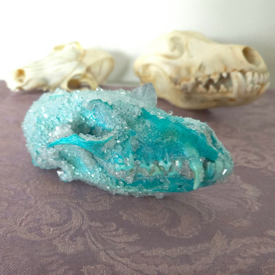Crystallized Clear Crystal Fox Skull - Etsy