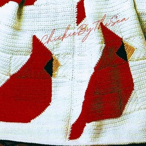 Vintage Crochet Quilt Afghan Pattern Patchwork Christmas Cardinal ...