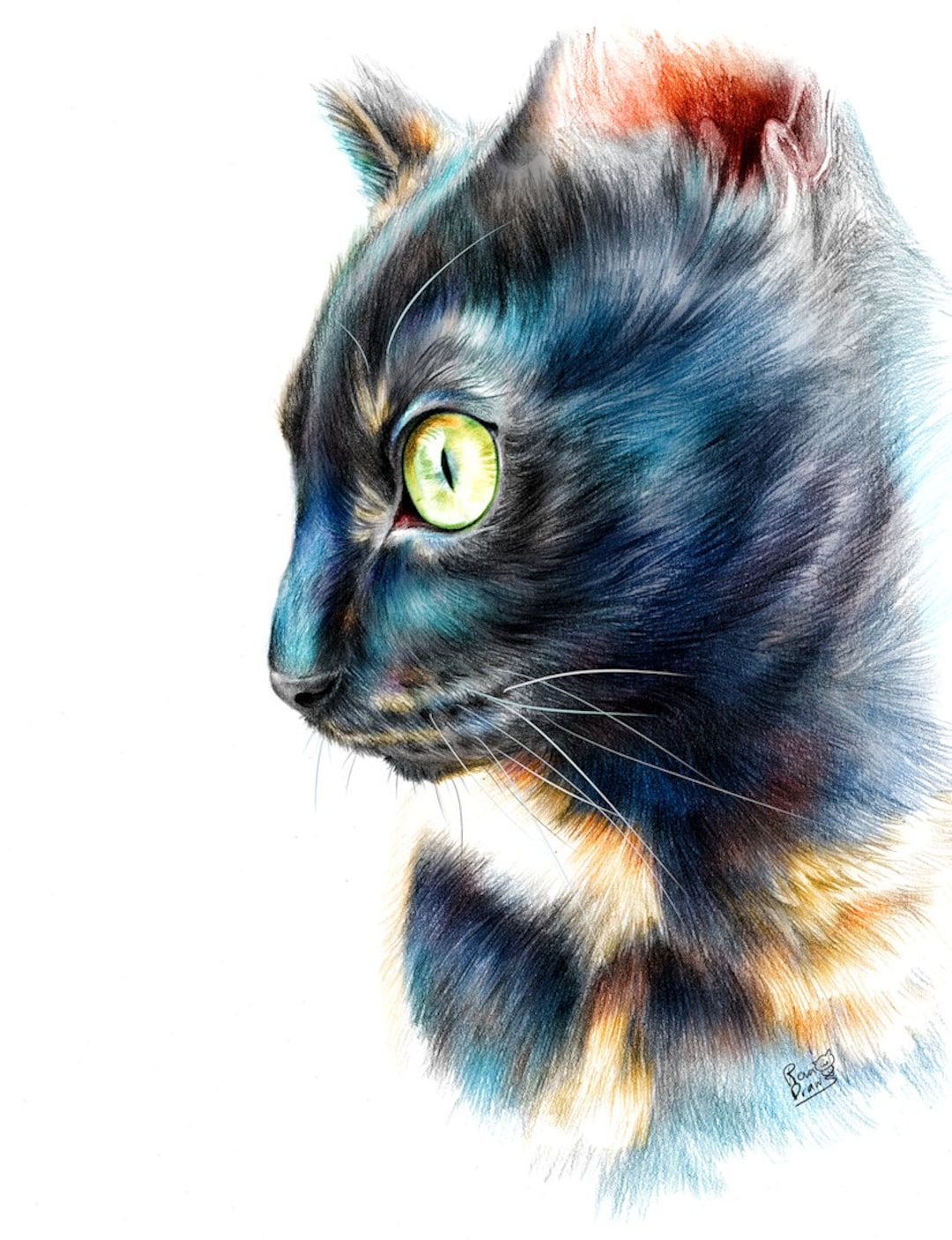 Tortoiseshell Cat Art PRINT - Tortie - Original Drawing - Beautiful Cat ...