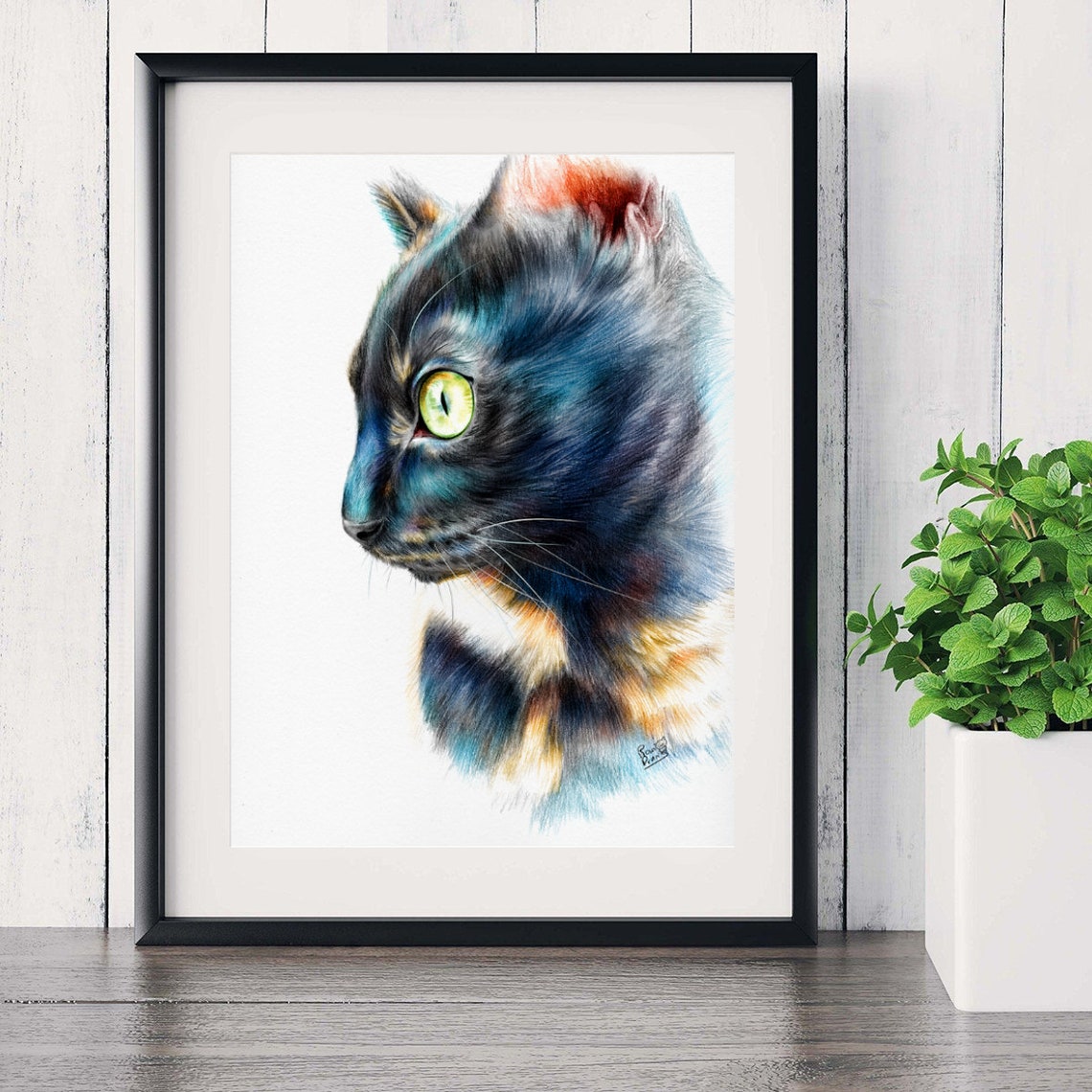 Tortoiseshell Cat Art PRINT Tortie Original Drawing - Etsy