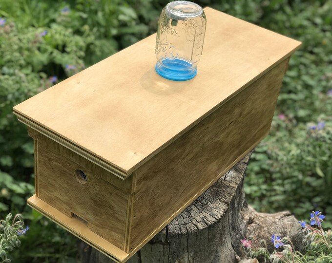 5 Medium Frame Bee Nuc Box, Mating Nuc, Swarm Trap (option to Add ...