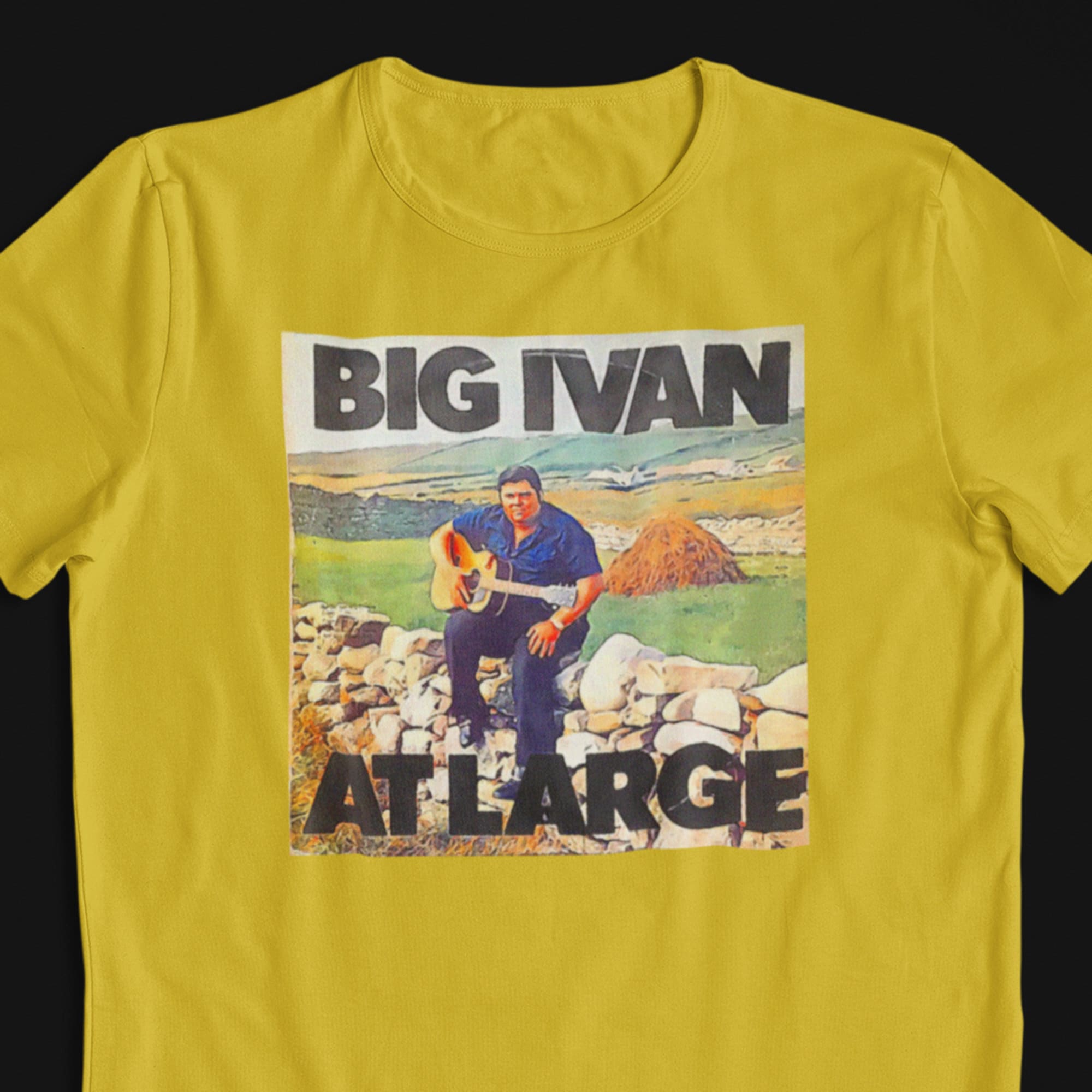 BIG Ivan T-shirt / Ireland Irish Folksinger 1970s Weird Album Covers ...