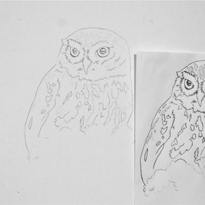 Owl Painting Original Oil Art for Home Decor Owls Painting by Sara Bach ...