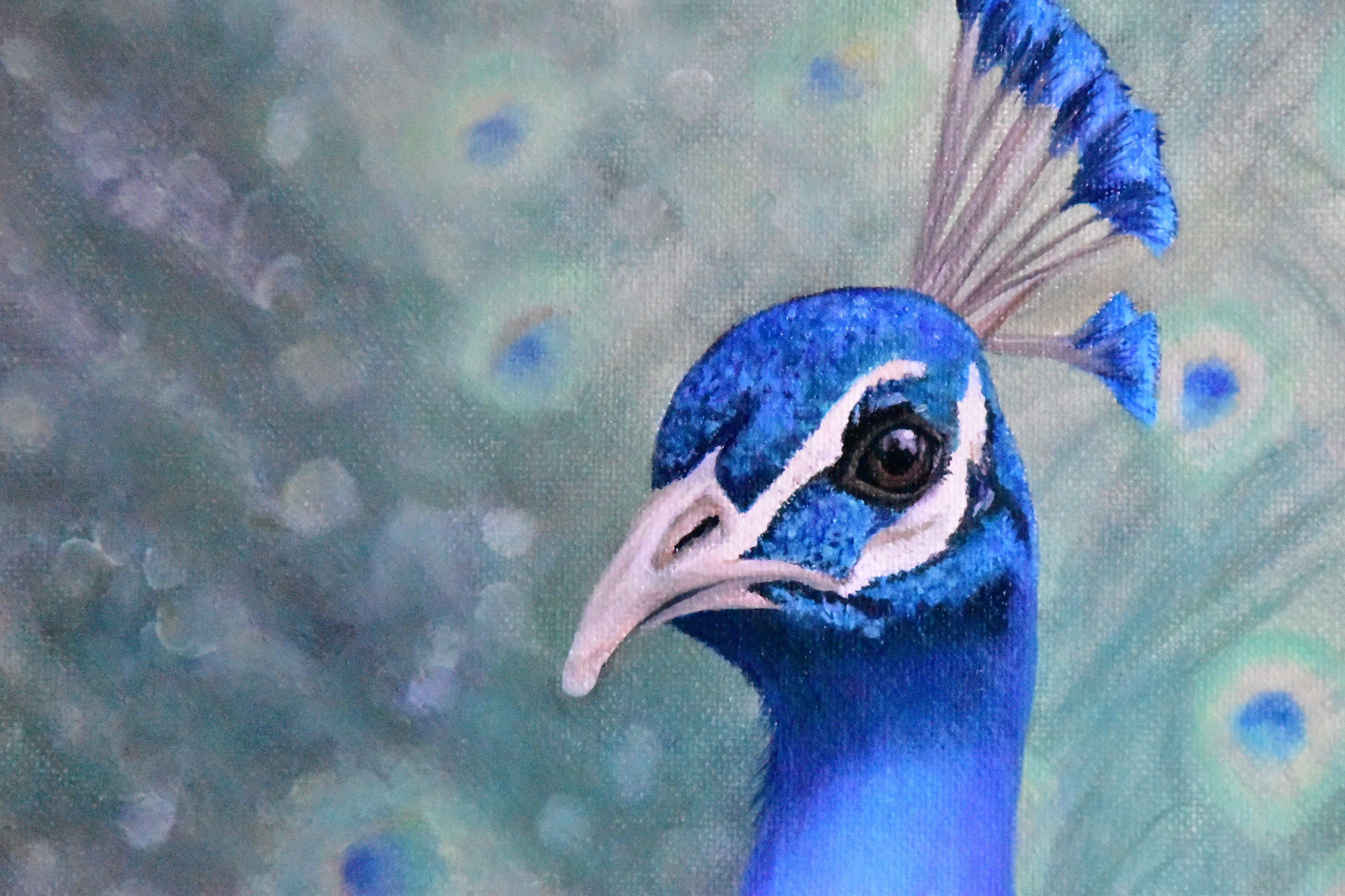 Peacock Painting Original Oil Painting of Peacock Art for Her Peacock ...