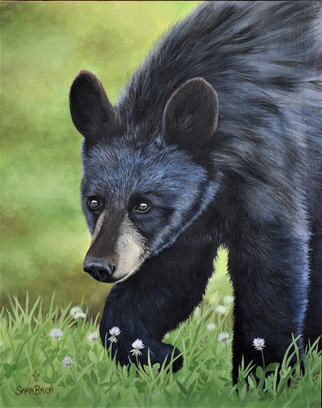 Black Bear Oil Painting Original Art Alaska Bear Painting by - Etsy