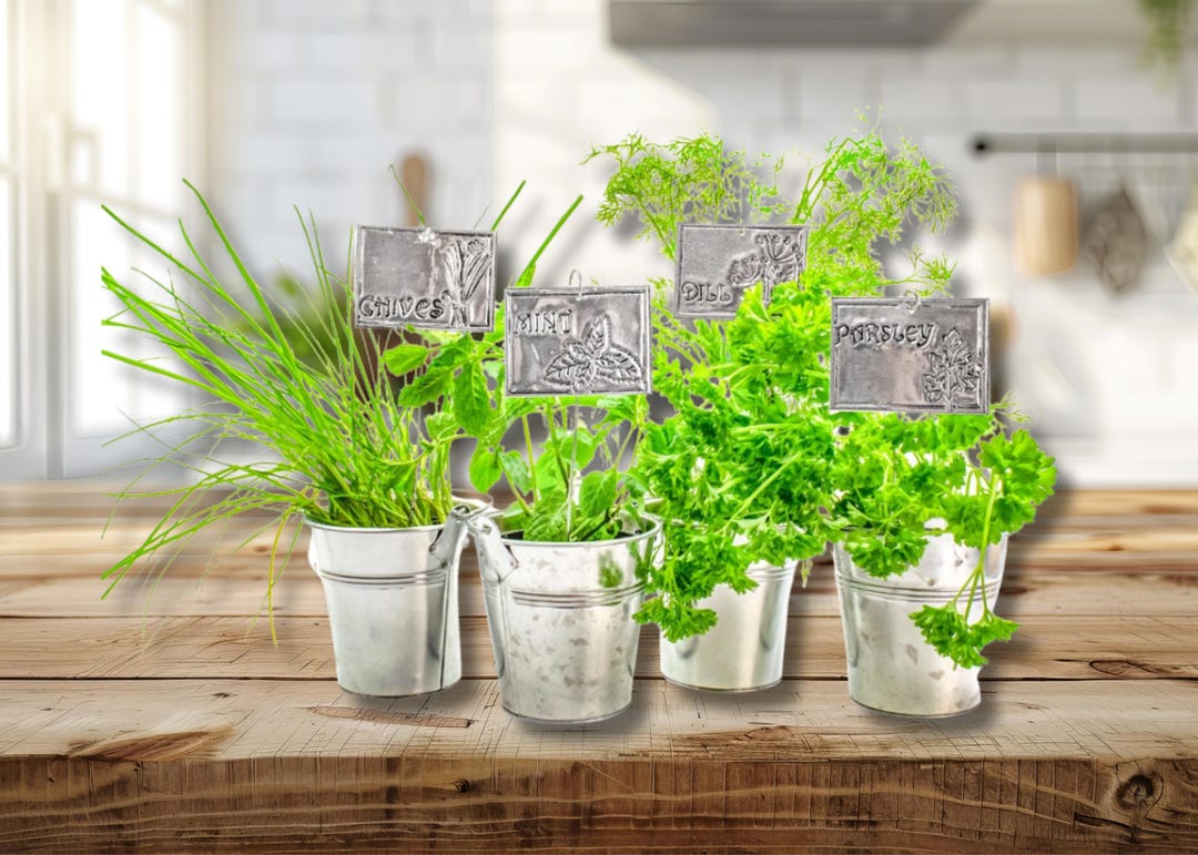 Metal Embossing Kit: Planter Labels, Garden Tags DIY Set, Gardening ...