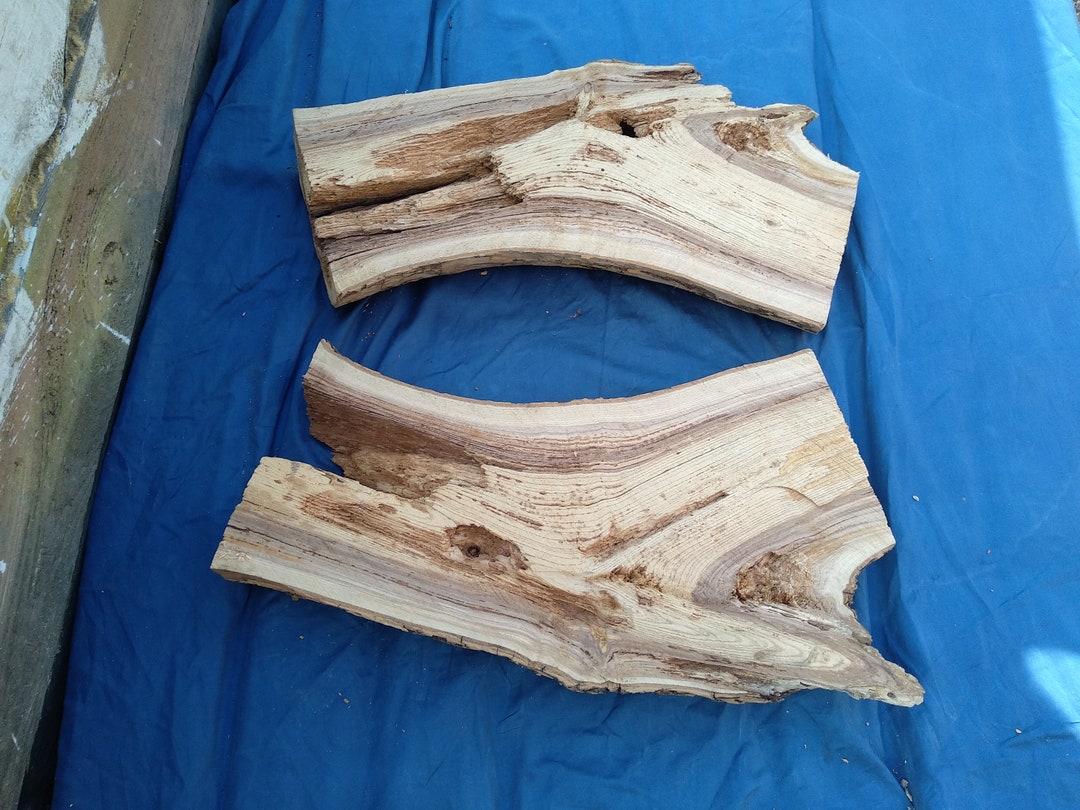 20 ASH Live Edge Wood Slab for Epoxy Ash Wood Live Edge - Etsy
