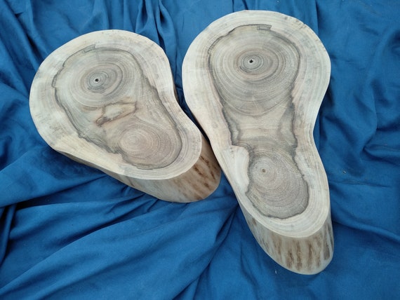 Walnut Wood Slices Tree Slices Display Wood Slice Wood - Etsy