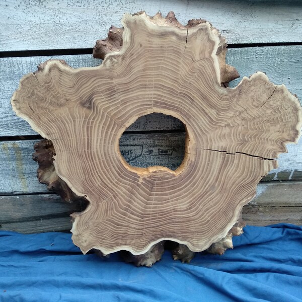 Tree Slab - Etsy