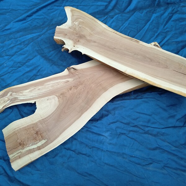 Live Edge Slabs - Etsy