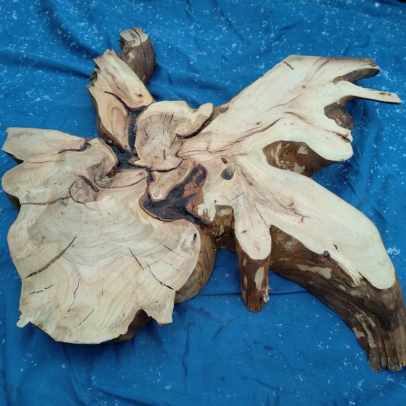 Root Art - Etsy