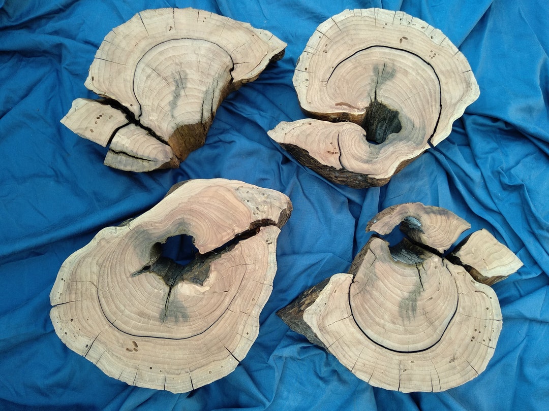 Apple Wood Slab, Live Edge Slab, Epoxy Resin, Wood Slab for Epoxy ...