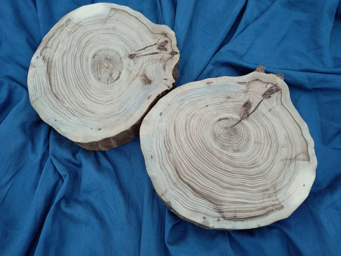 Live Edge Slice Elm Wood Elm Log Slice Wood Center Piece | Etsy