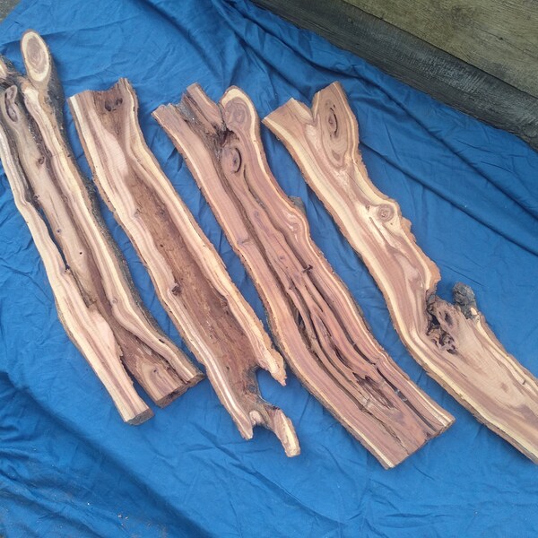 Live Edge Wood - Etsy