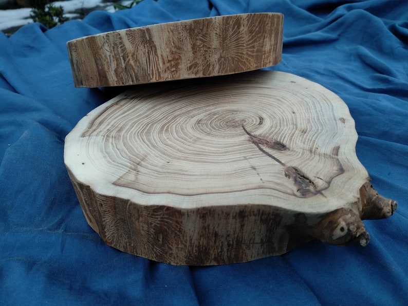 Live Edge Slice Elm Wood Elm Log Slice Wood Center Piece - Etsy