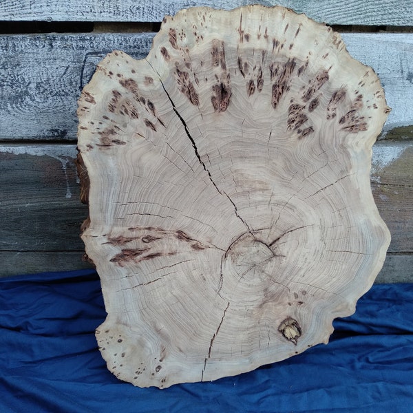 Live Edge Wood - Etsy