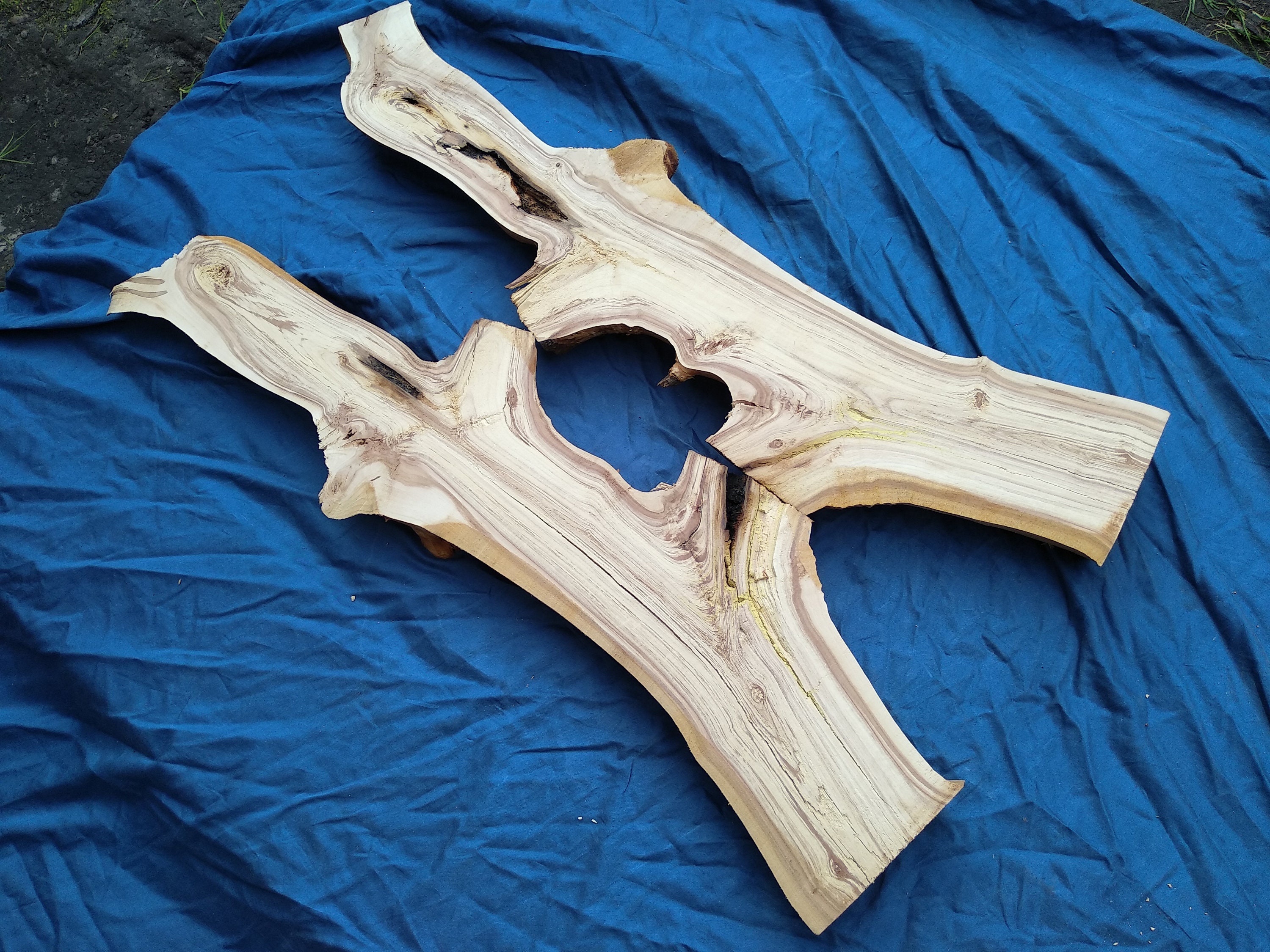 Apple Wood Slab Wood Plank Rustic Wood Planks Rough Cut | Etsy