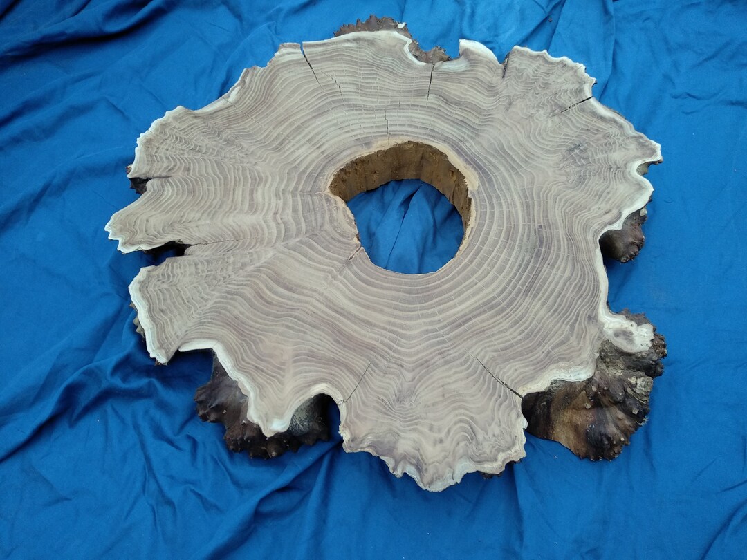 Olive Round Wood Slab, Round Live Edge Wood, Raw Edge Wood for Epoxy ...