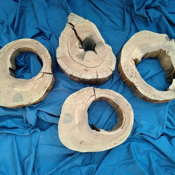 Large Hollow Log Slices - Etsy