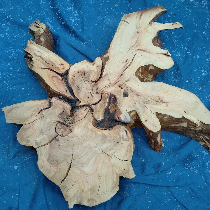 Root Art - Etsy